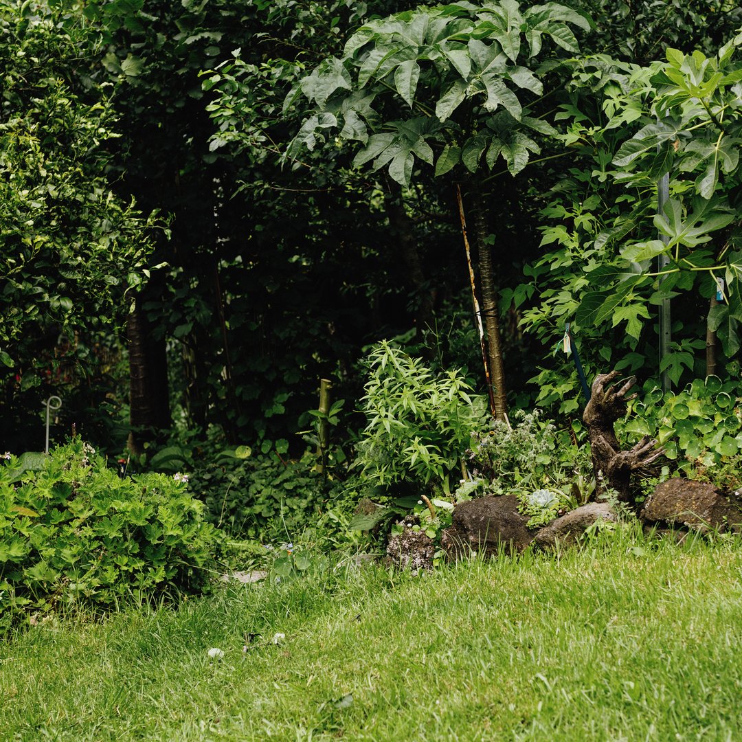 Building resilience in a suburban food forest with Ellen Eskildsen - Lagom