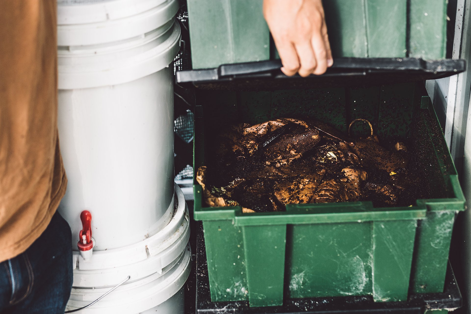 Composting at home is easy, this is everything you need to know - Lagom