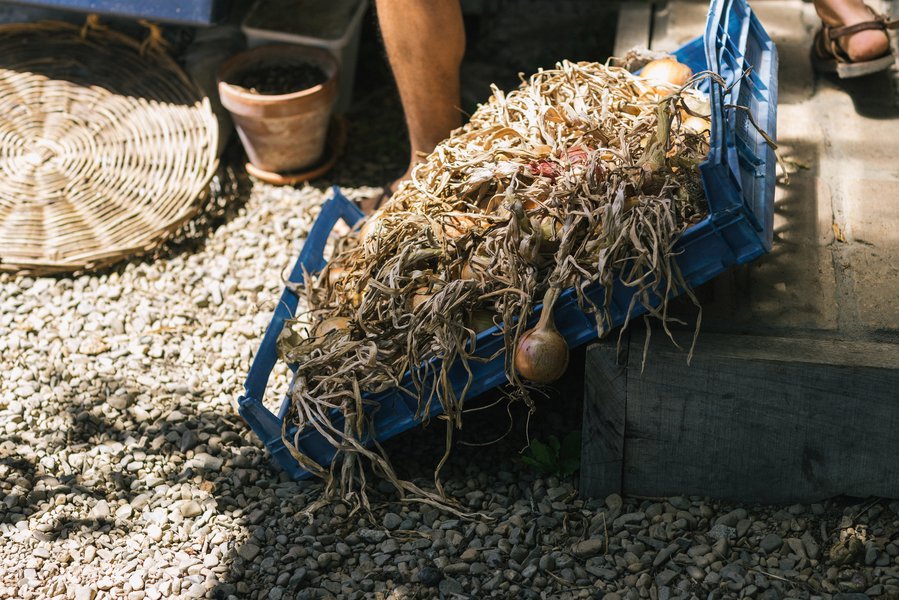 In conversation with Niva and Yotam Key of Pakaraka Permaculture - Lagom