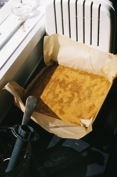 Ginger slice from Megan May’s The Unbakery: Raw Organic Goodness book ...